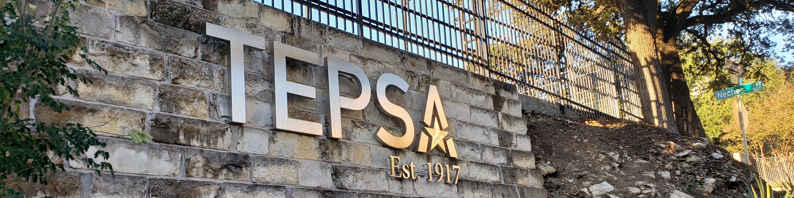 President's Column - TEPSA