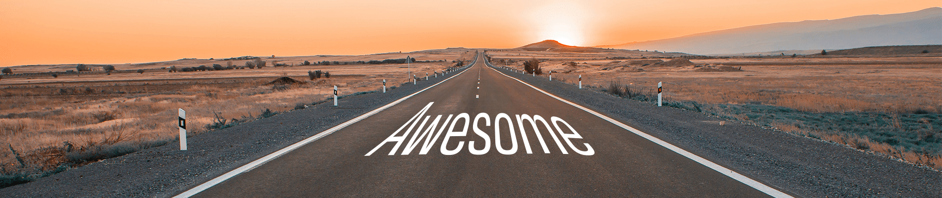 Empowering Leaders: Road to Awesome - TEPSA